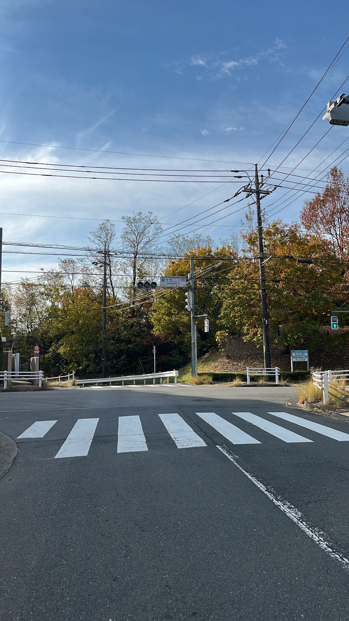 【JavaScript】「document.createElement()」の使い方！【要素の幅を取得】